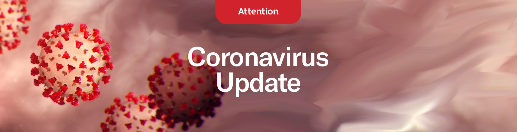 Coronavirus Update